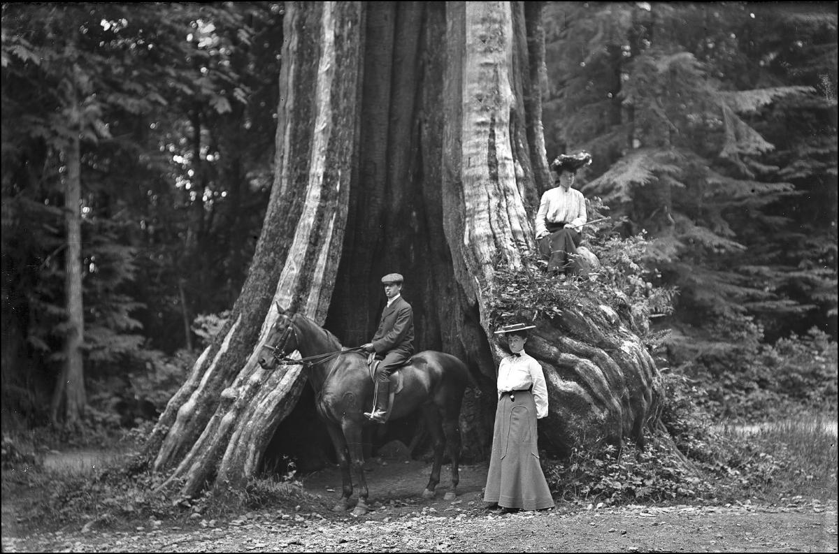 Stanley, I presume? | phsc.ca